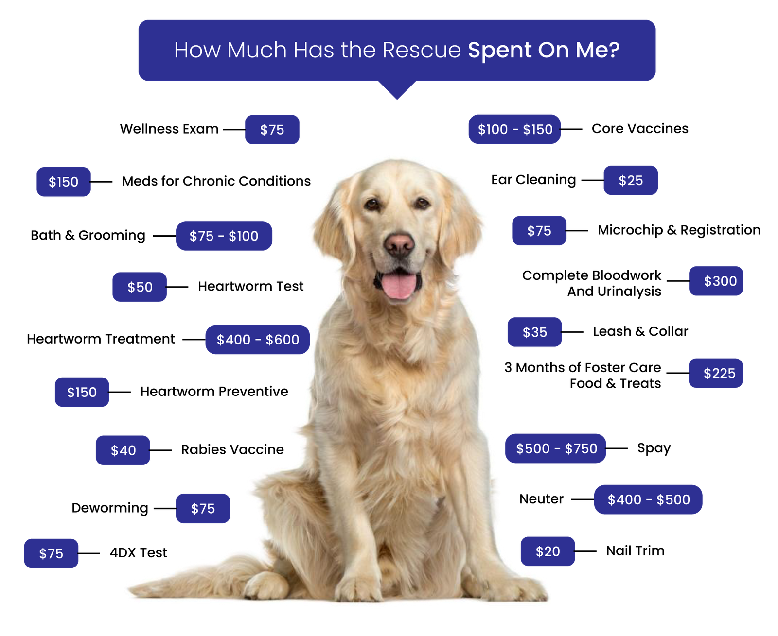 GRRI-NJ: Adoption Fees for Golden Retrievers: Making a Difference, One ...